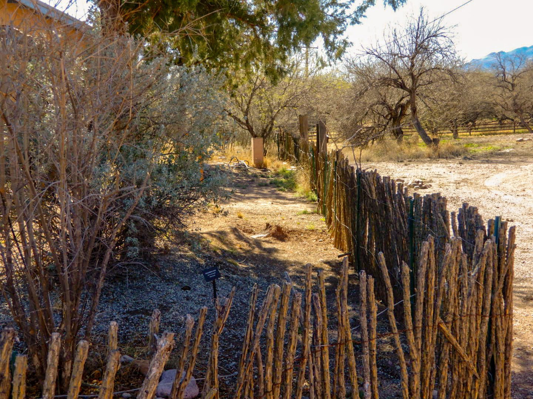 2024年3月Tubac Presidio State Historic Park and Museum景点攻略-Tubac Presidio ...
