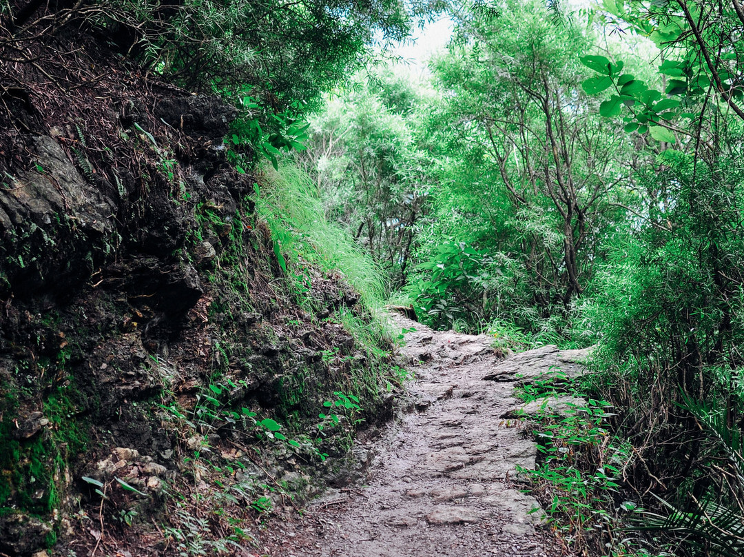 2025年3月Trail 5景点攻略-Trail 5门票预订|地址|图片-Trail 5景点点评-猫途鹰