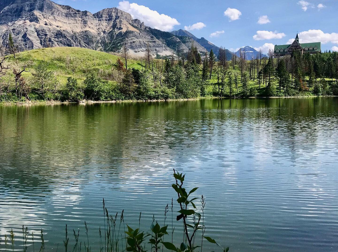 2023年11月Linnet Lake景点攻略-Linnet Lake门票预订|地址|图片-Linnet Lake景点点评-猫途鹰