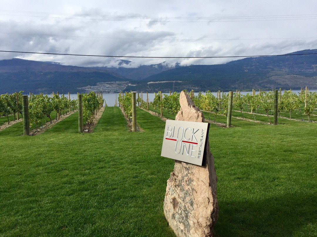 2024年1月50th Parallel Estate景点攻略-50th Parallel Estate门票预订|地址|图片-50th ...