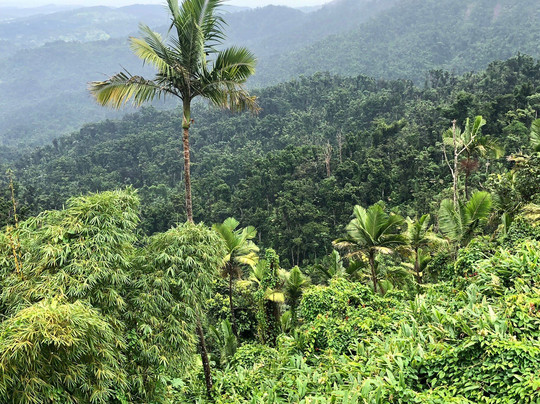 2024年11月Torre Yokahú景点攻略-Torre Yokahú门票预订|地址|图片-Torre Yokahú景点点评-猫途鹰