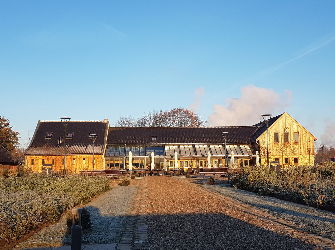 2025年8月Beek旅游景点攻略-Beek旅游住宿,-Beek旅游美食-猫途鹰