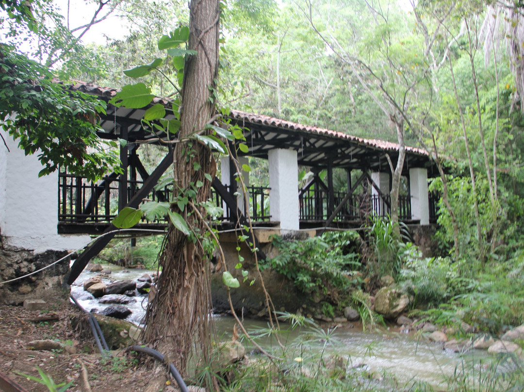 2024年1月Parque Gallineral景点攻略-Parque Gallineral门票预订|地址|图片-Parque ...