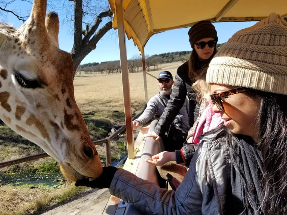 2025年3月Fossil Rim Wildlife Center景点攻略-Fossil Rim Wildlife Center门票预订|地址 ...