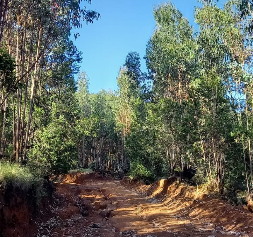 2025年3月Mount Entoto景点攻略-Mount Entoto门票预订|地址|图片-Mount Entoto景点点评-猫途鹰