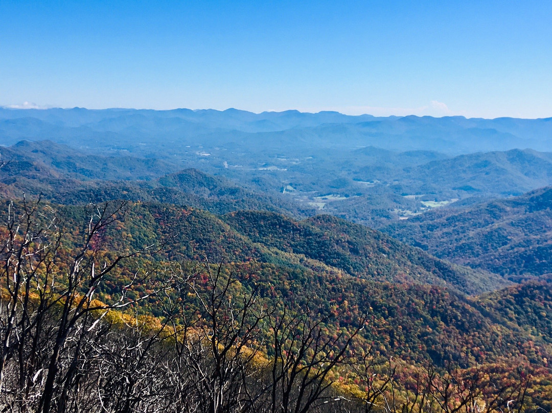 2024年3月Wayah Bald Lookout Tower景点攻略-Wayah Bald Lookout Tower门票预订|地址|图片 ...