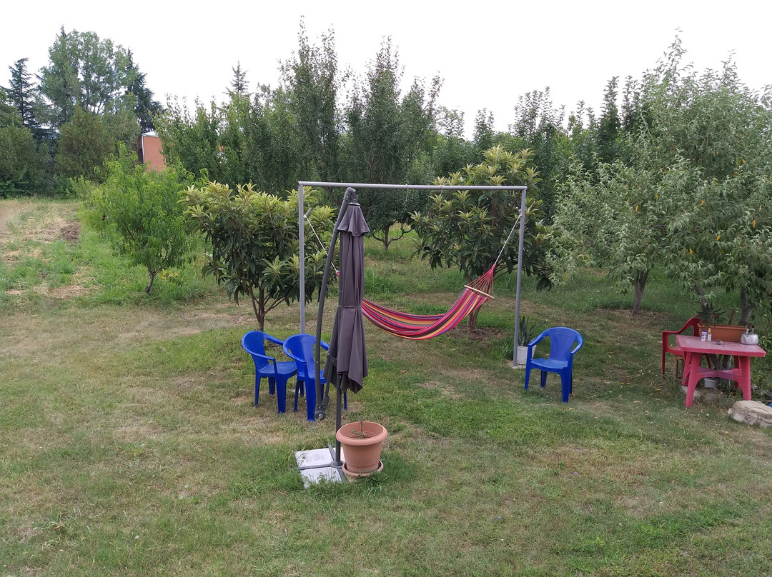 2024年2月Zemo Alvani旅游景点攻略-Zemo Alvani旅游住宿,-Zemo Alvani旅游美食-猫途鹰