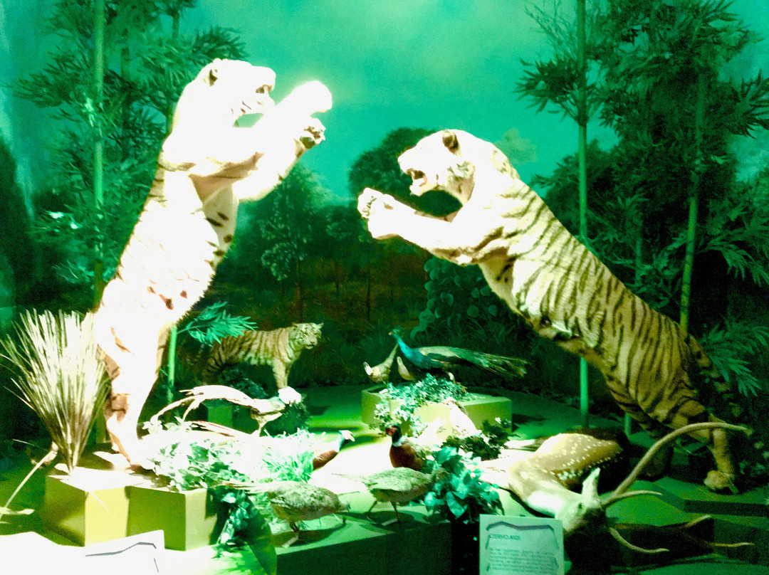 2023年12月Museo de la Evolucion Puebla (Museum of Evolution Puebla)景点攻略-Museo de la Evolucion ...