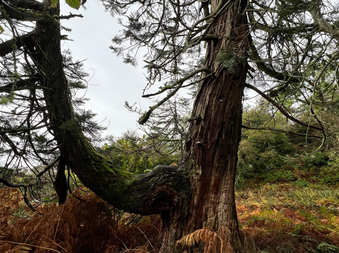 2025年6月Ellary景点攻略-Ellary旅游必去景点-Ellary景点大全-猫途鹰