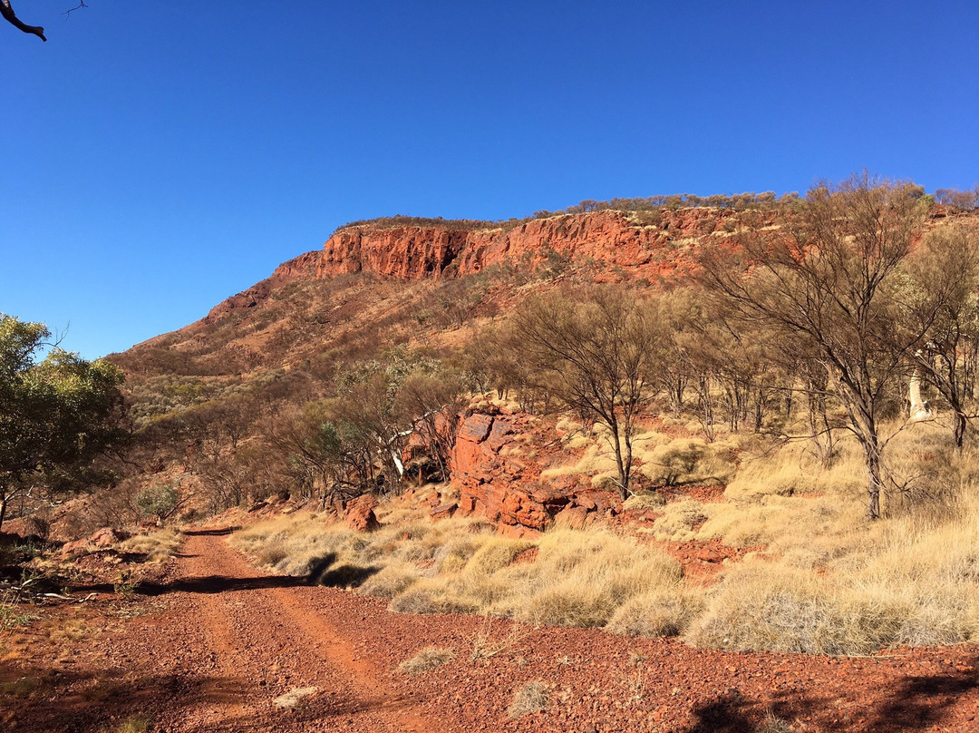 2023年11月Mount Nameless景点攻略-Mount Nameless门票预订|地址|图片-Mount Nameless景点点评-猫途鹰
