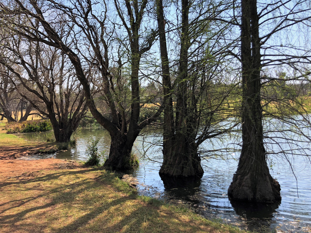 2024年9月Delta Park景点攻略-Delta Park门票预订|地址|图片-Delta Park景点点评-猫途鹰