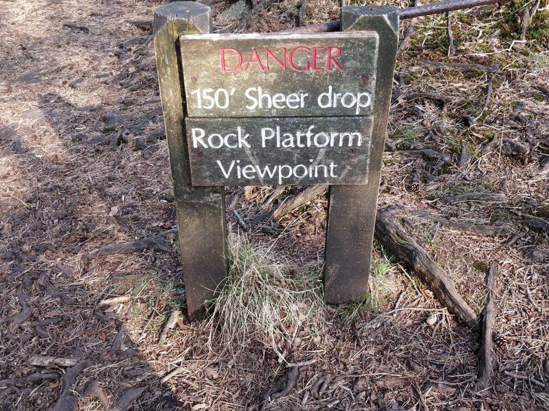 2023年11月Stanley Ghyll Force Waterfall景点攻略-Stanley Ghyll Force Waterfall ...