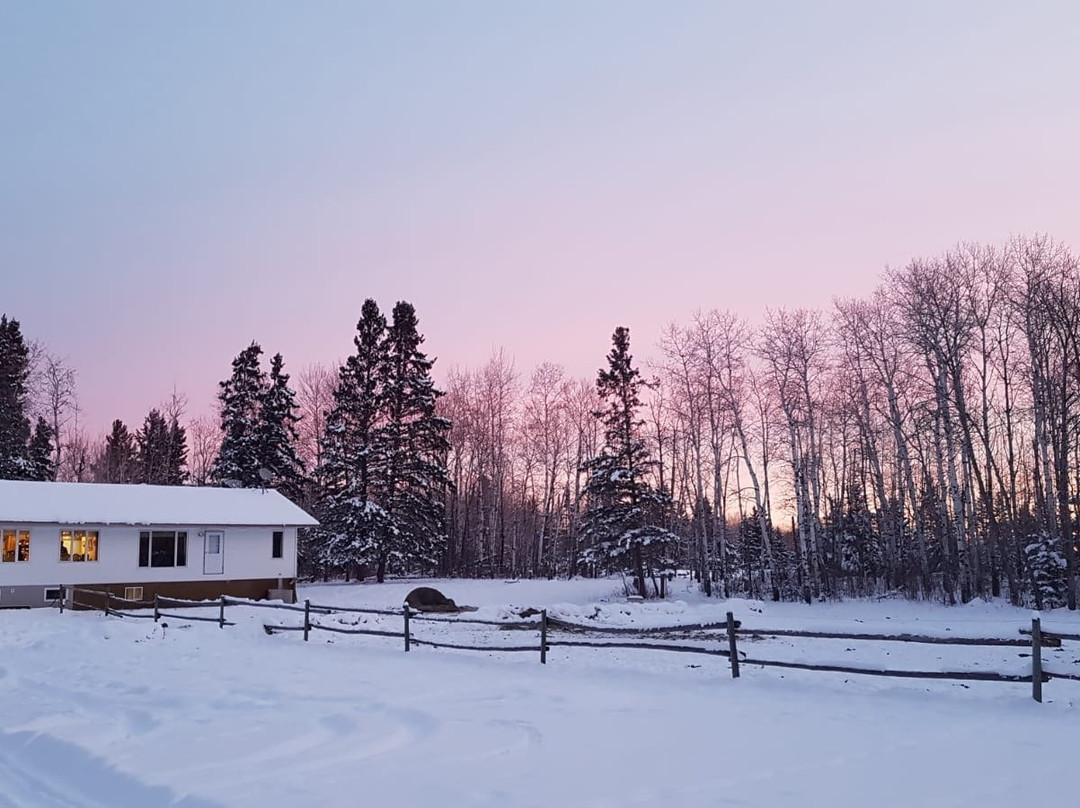 2024年3月Prairie River旅游景点攻略-Prairie River旅游住宿,-Prairie River旅游美食-猫途鹰