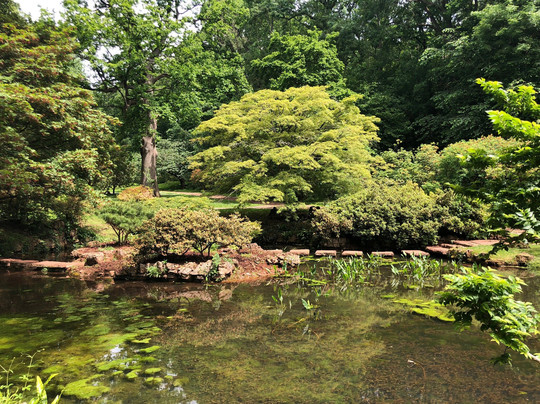 2023年11月Lydney Park Estate景点攻略-Lydney Park Estate门票预订|地址|图片-Lydney Park ...