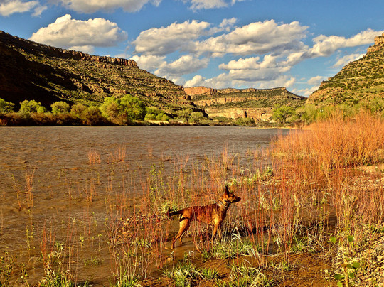 2024年11月James M. Robb - Colorado River State Park景点攻略-James M. Robb ...