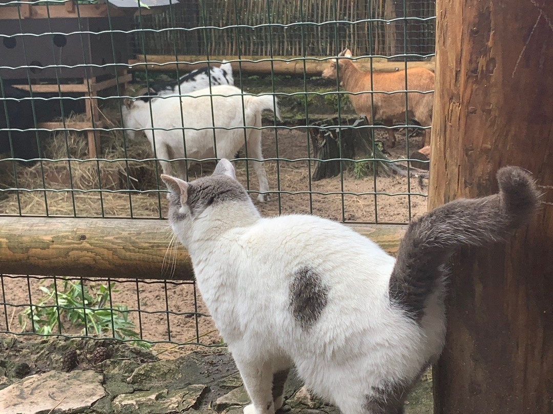 2024年3月Riga Zoo景点攻略-Riga Zoo门票预订|地址|图片-Riga Zoo景点点评-猫途鹰