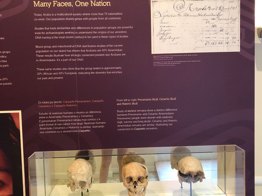 2023年11月National Archaeological Museum Aruba景点攻略-National ...