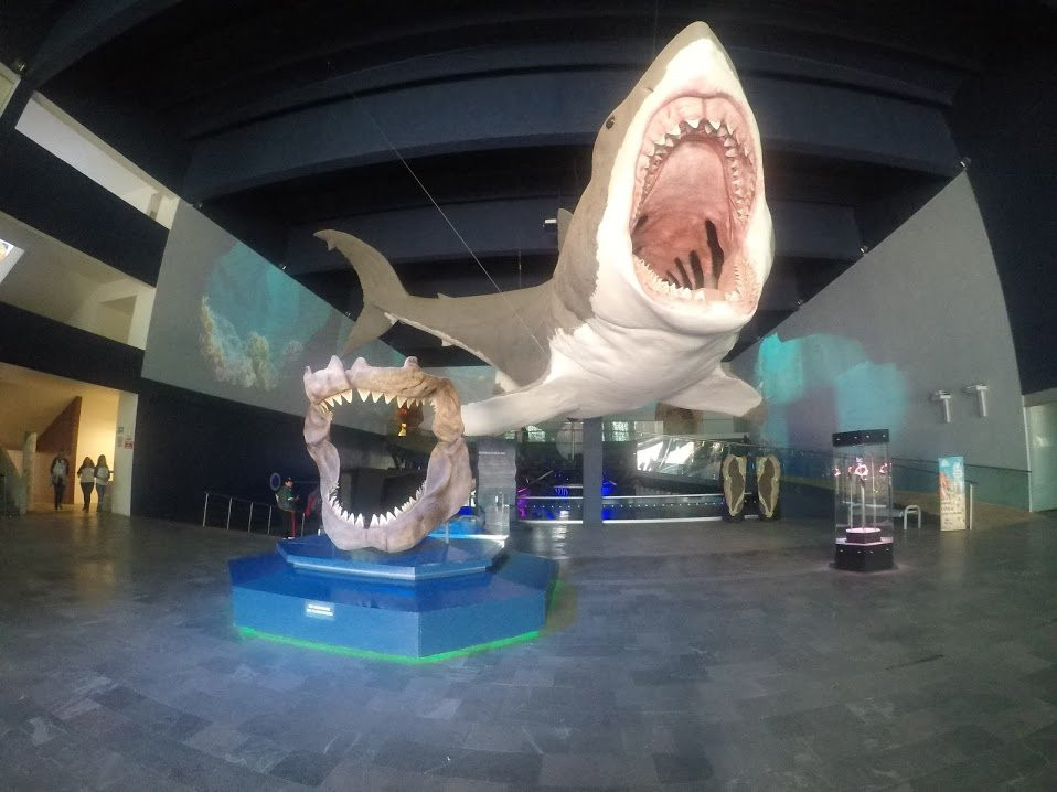 2023年12月Museo de la Evolucion Puebla (Museum of Evolution Puebla)景点攻略-Museo de la Evolucion ...