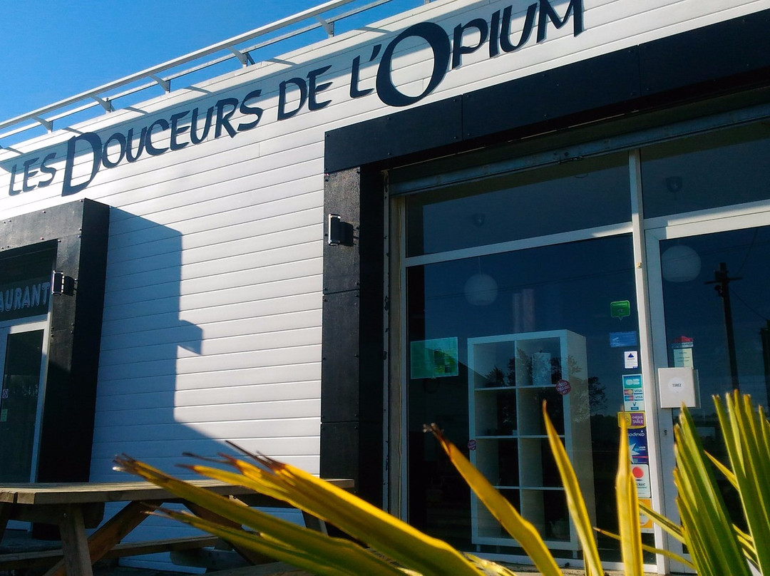 2024年2月Nousty旅游景点攻略-Nousty旅游住宿,-Nousty旅游美食-猫途鹰