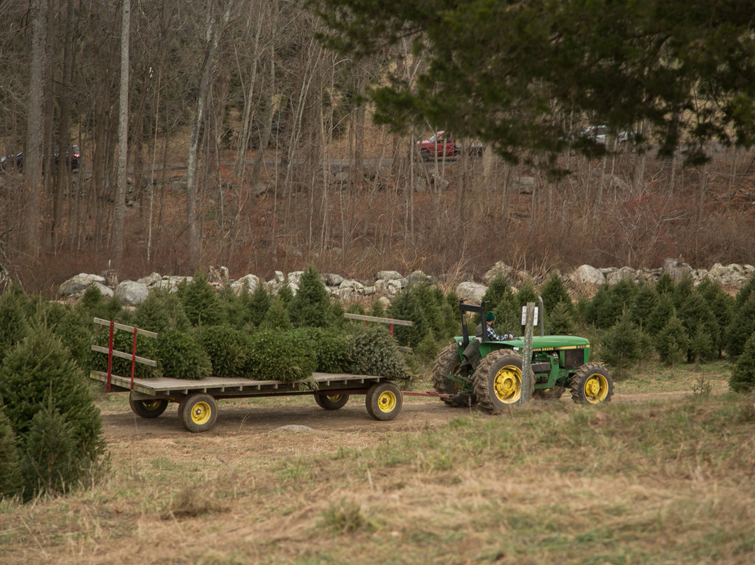 2024年12月Maple Row Farm景点攻略-Maple Row Farm门票预订|地址|图片-Maple Row Farm景点点评-猫途鹰