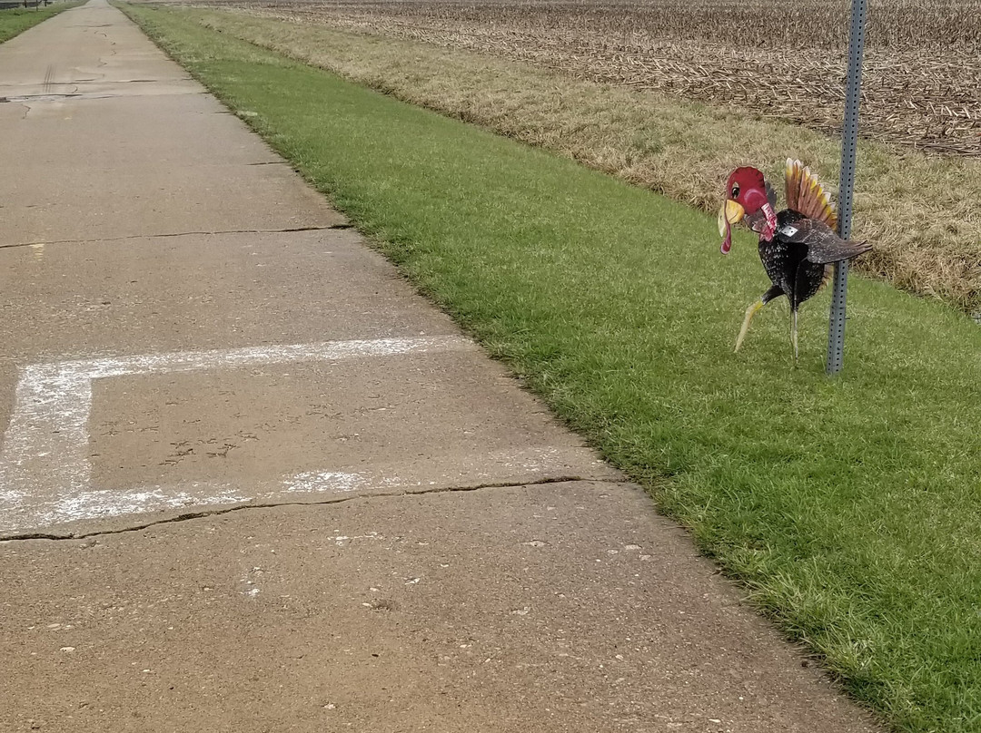 2025年1月Nilwood景点攻略-Nilwood旅游必去景点-Nilwood景点大全-猫途鹰