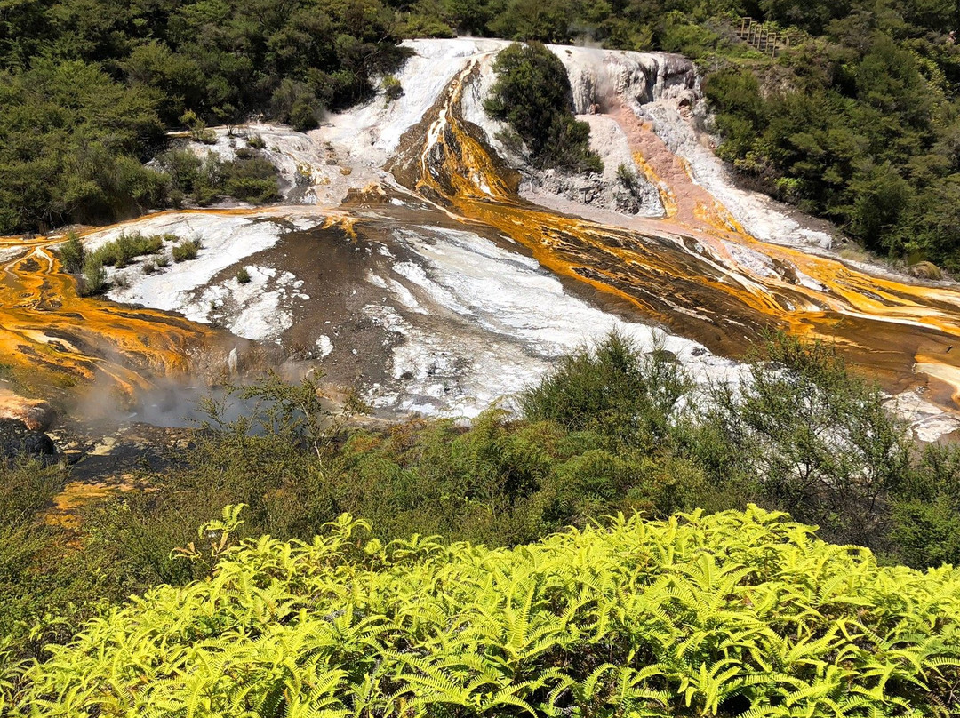 2025年1月Orakei Korako Cave & Thermal Park景点攻略-Orakei Korako Cave ...