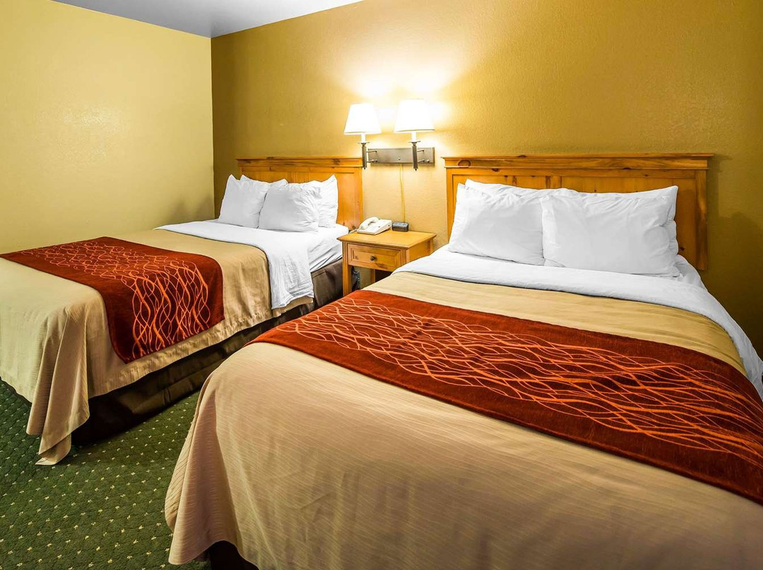 2025年4月Old Harbor旅游景点攻略-Old Harbor旅游住宿,-Old Harbor旅游美食-猫途鹰