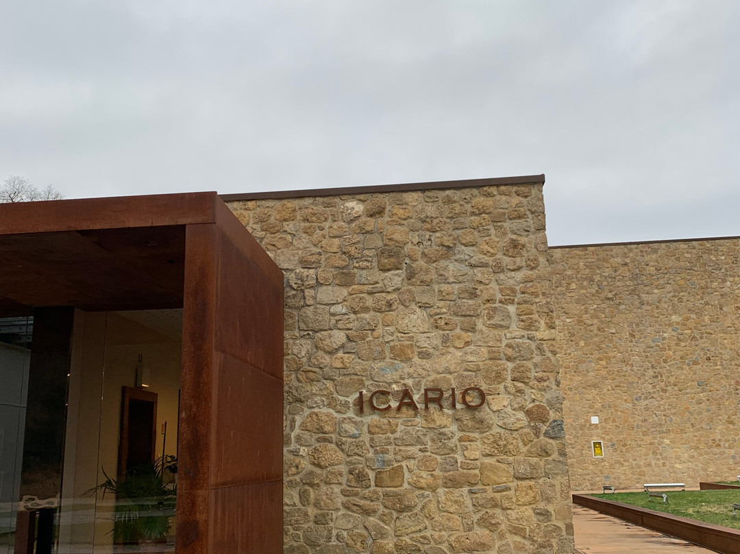 2024年12月Icario Winery景点攻略-Icario Winery门票预订|地址|图片-Icario Winery景点点评-猫途鹰