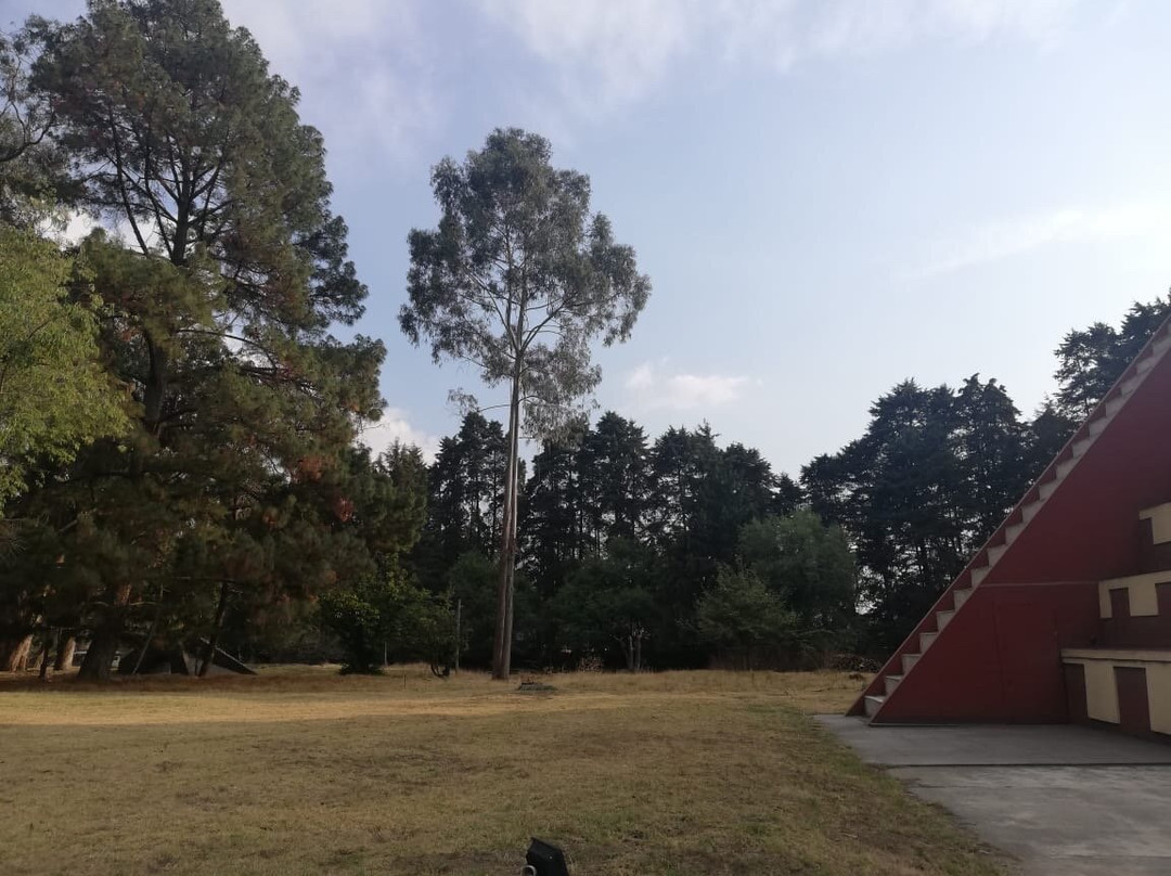 2025年2月Popo Park旅游景点攻略-Popo Park旅游住宿,-Popo Park旅游美食-猫途鹰