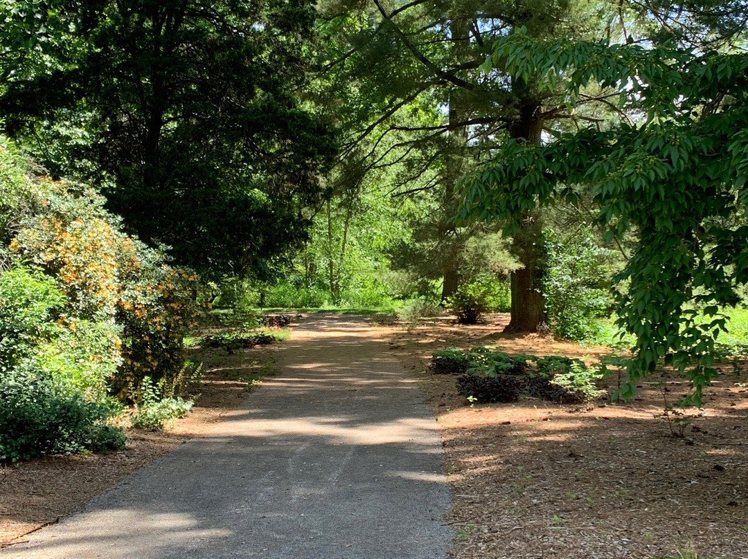 2024年3月Tyler Arboretum景点攻略-Tyler Arboretum门票预订|地址|图片-Tyler Arboretum景点 ...
