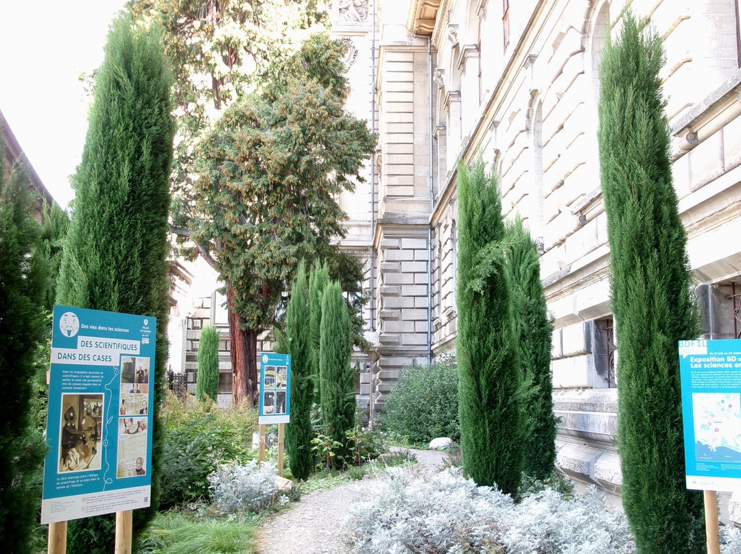 2024年9月Palais de Rumine景点攻略-Palais de Rumine门票预订|地址|图片-Palais de Rumine ...