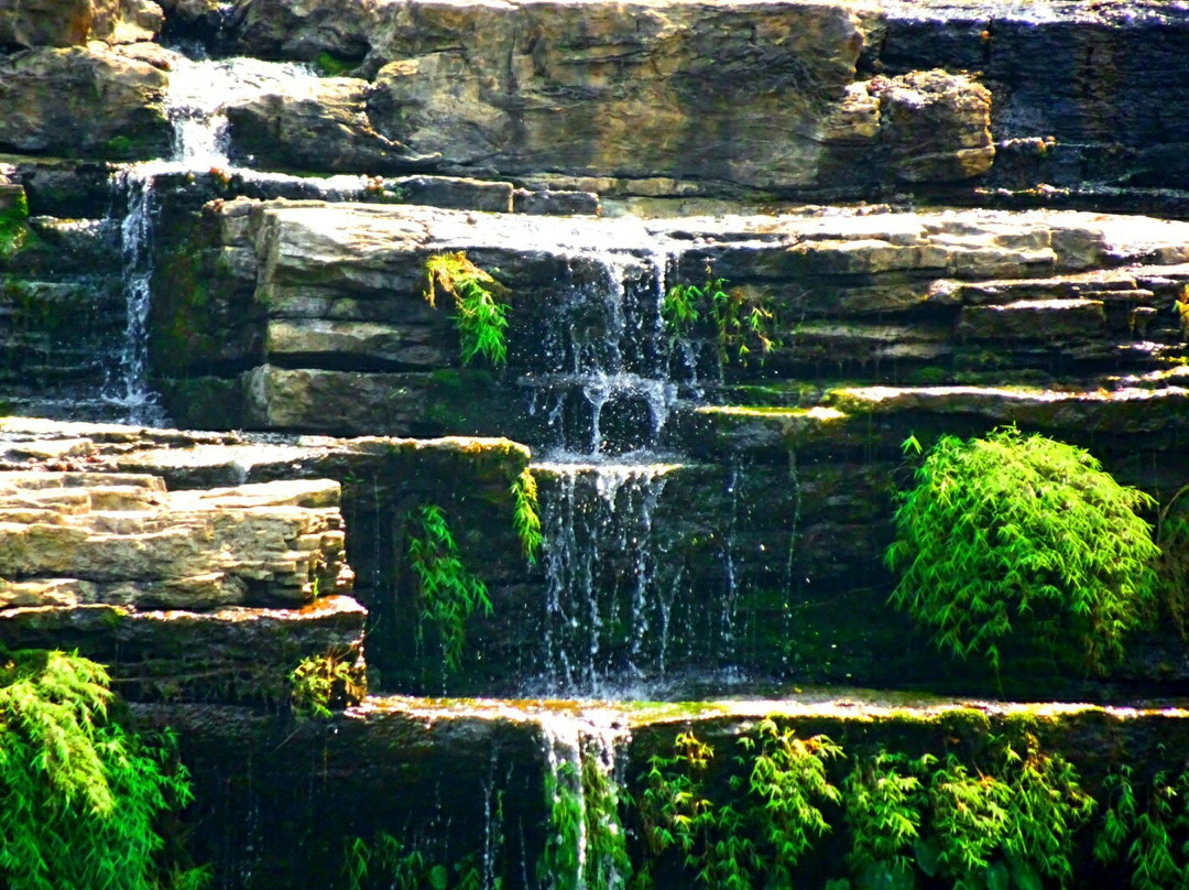 2024年1月Pandav Falls and Caves景点攻略-Pandav Falls and Caves门票预订|地址|图片 ...