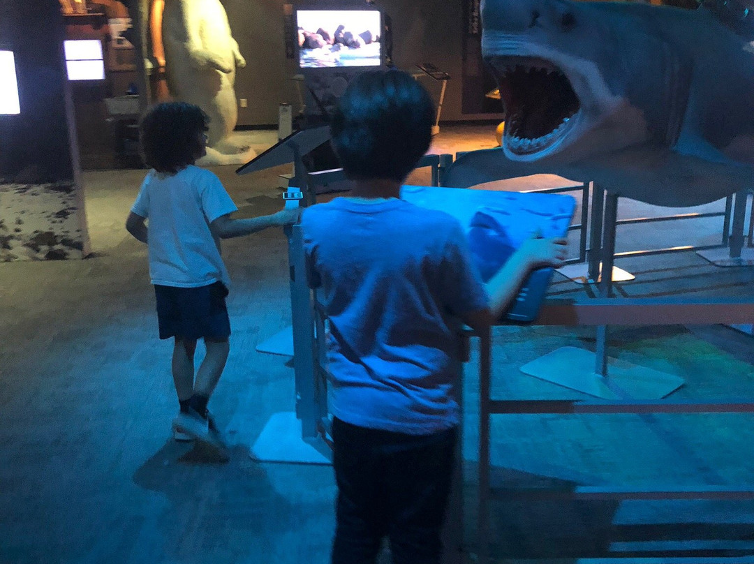 2023年12月Adventure Science Center景点攻略-Adventure Science Center门票预订|地址|图片 ...