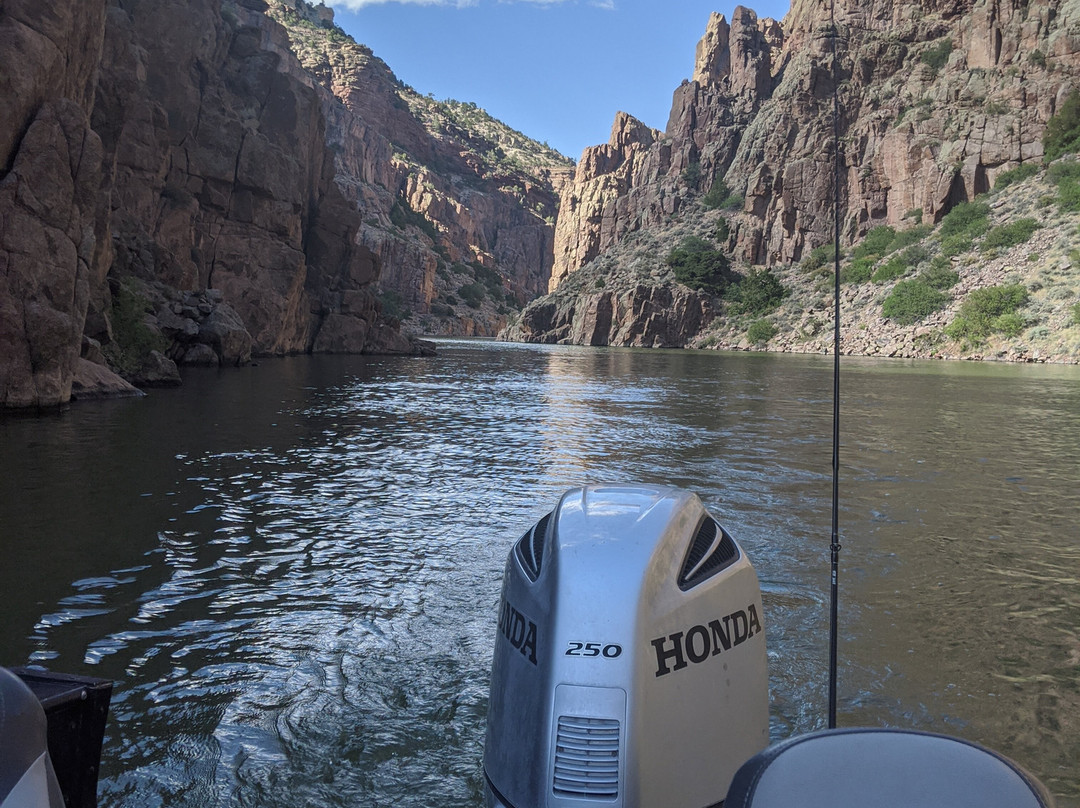 2024年1月Alcova Resort景点攻略-Alcova Resort门票预订|地址|图片-Alcova Resort景点点评-猫途鹰