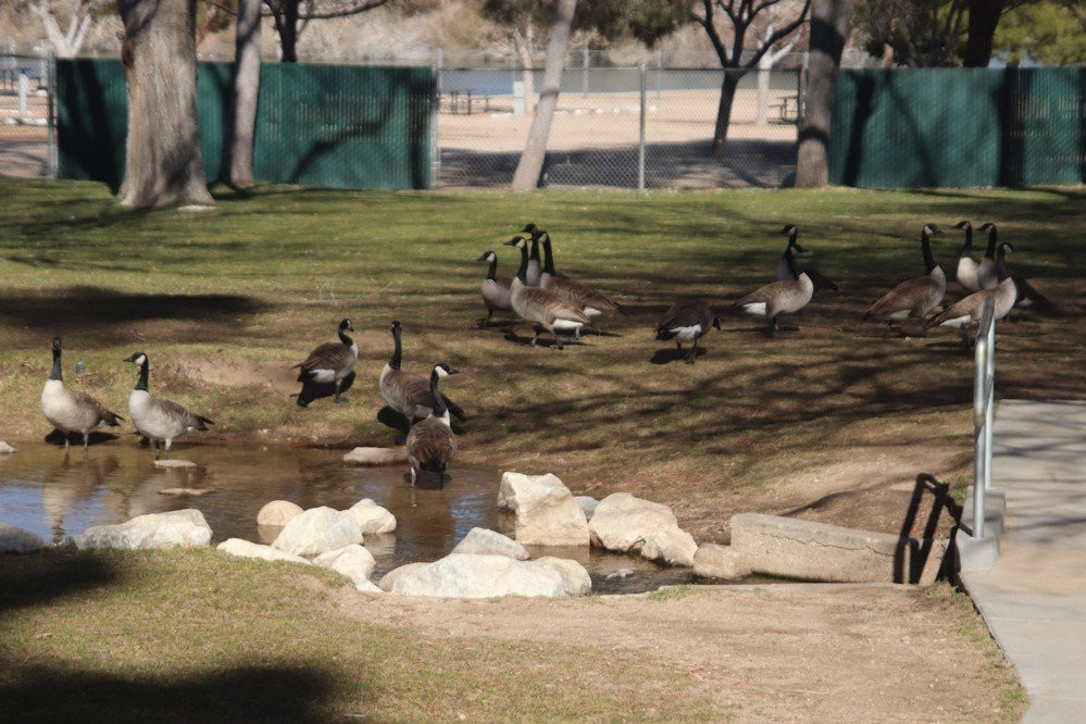 2023年11月Hesperia Lake景点攻略-Hesperia Lake门票预订|地址|图片-Hesperia Lake景点点评-猫途鹰