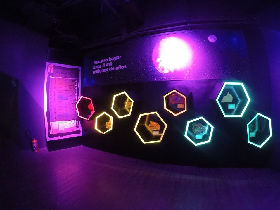 2023年12月Museo de la Evolucion Puebla (Museum of Evolution Puebla)景点攻略-Museo de la Evolucion ...