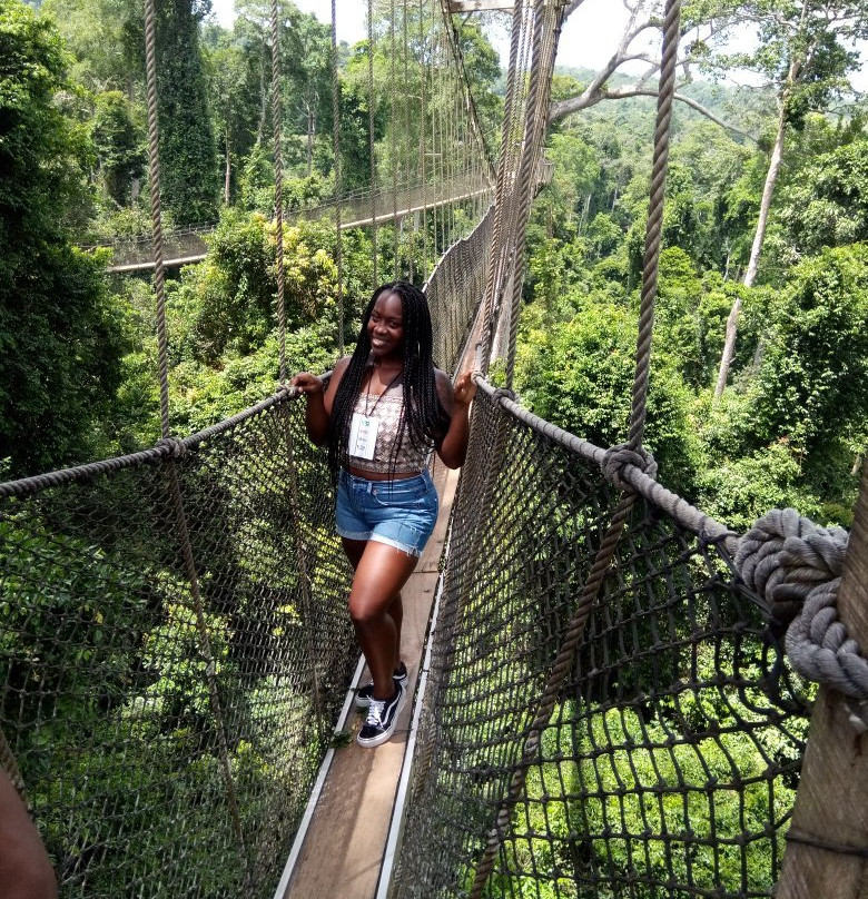 2024年10月Kakum National Park景点攻略-Kakum National Park门票预订|地址|图片-Kakum ...