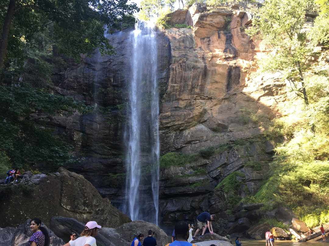 2023年12月Toccoa Falls景点攻略-Toccoa Falls门票预订|地址|图片-Toccoa Falls景点点评-猫途鹰