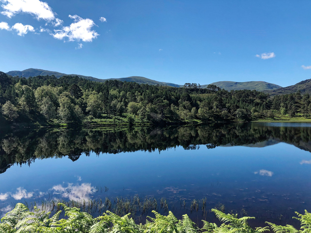 2023年11月Loch Affric Circular Walk景点攻略-Loch Affric Circular Walk门票预订|地址 ...