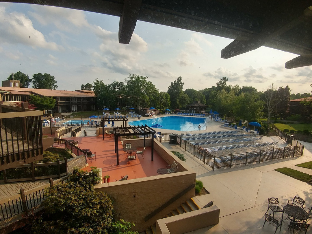 2024年10月Salt Fork State Park景点攻略-Salt Fork State Park门票预订|地址|图片-Salt ...