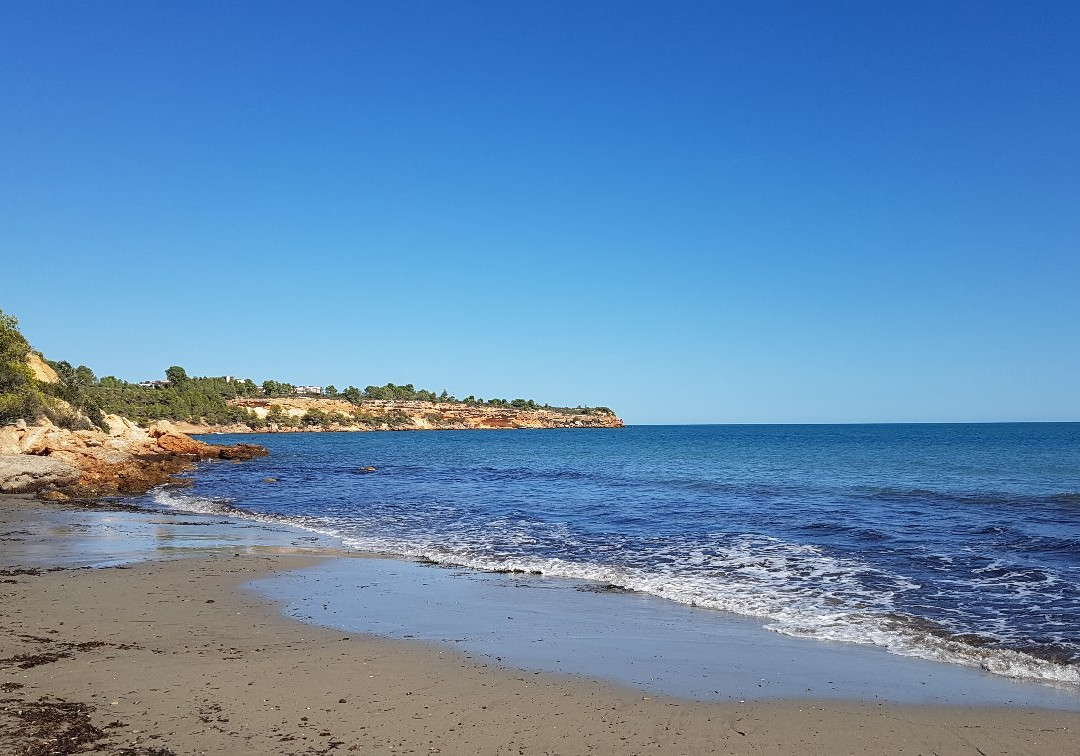 2023年11月Playa Cap Roig景点攻略-Playa Cap Roig门票预订|地址|图片-Playa Cap Roig景点点评-猫途鹰