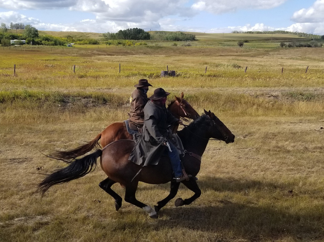 2025年3月Alberta Prairie Railway Excursions景点攻略-Alberta Prairie Railway ...