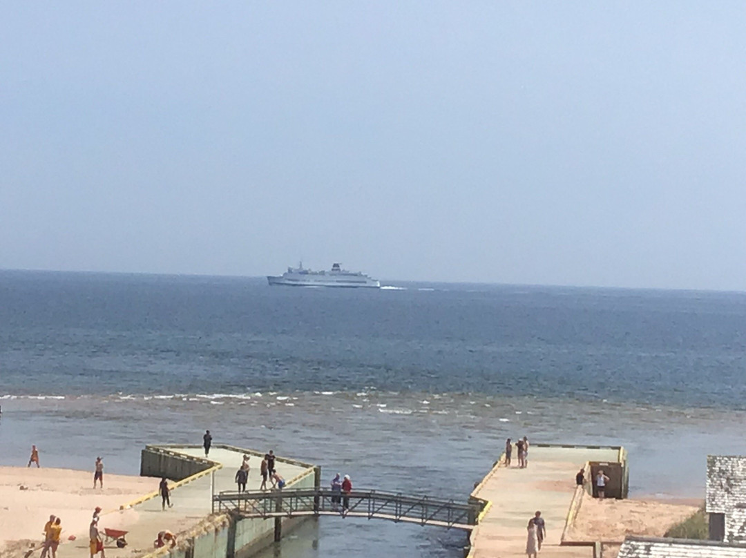 2024年11月Basin Head Provincial Park景点攻略-Basin Head Provincial Park门票预订 ...