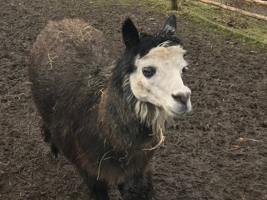 2023年11月Pot House Hamlet景点攻略-Pot House Hamlet门票预订|地址|图片-Pot House ...