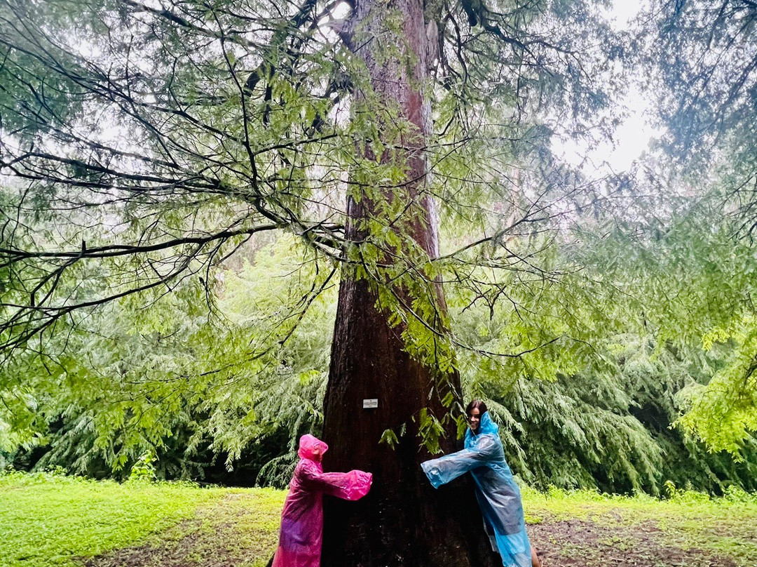 2024年2月Shekhvetili景点攻略-Shekhvetili旅游必去景点-Shekhvetili景点大全-猫途鹰