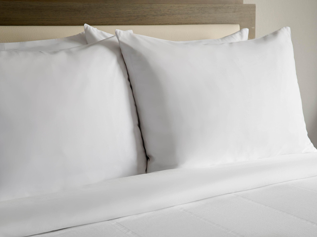 2024年1月Huson旅游景点攻略-Huson旅游住宿,-Huson旅游美食-猫途鹰