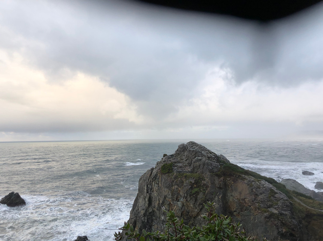 2024年2月Patrick's Point State Park景点攻略-Patrick's Point State Park门票预订|地址 ...