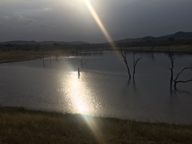 2025年3月Wolhuter Wilderness Trail景点攻略-Wolhuter Wilderness Trail门票预订|地址 ...