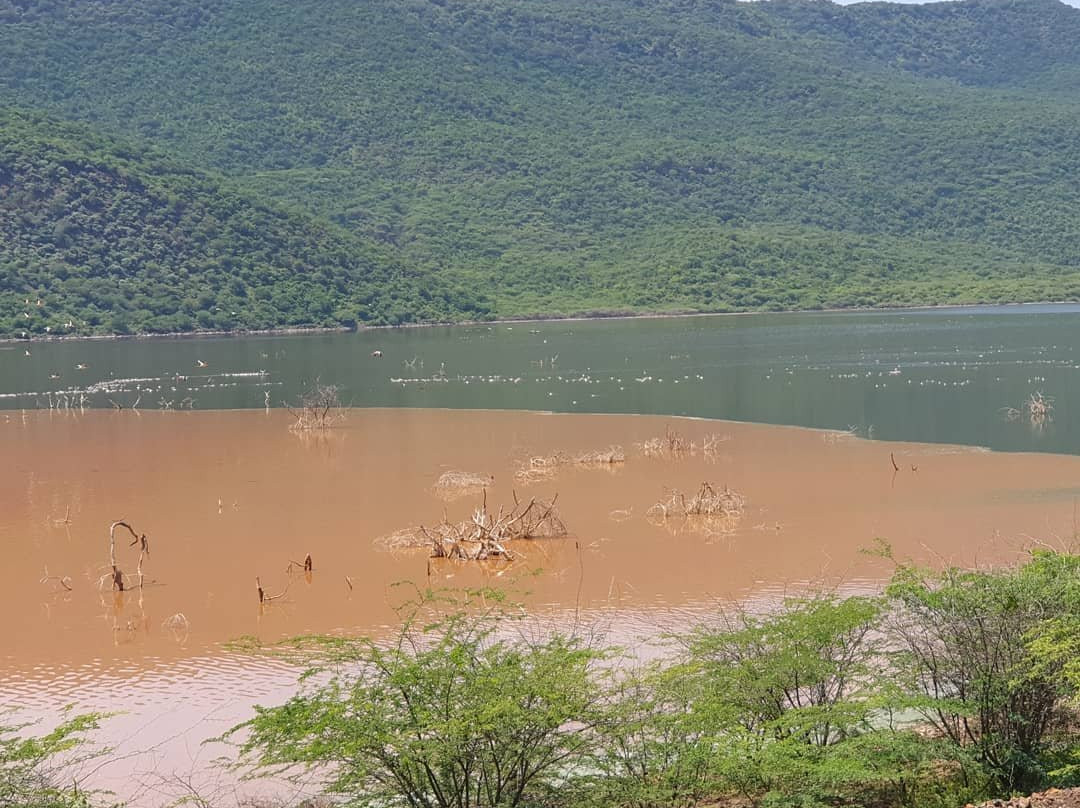 2025年3月Lake Bogoria景点攻略-Lake Bogoria门票预订|地址|图片-Lake Bogoria景点点评-猫途鹰