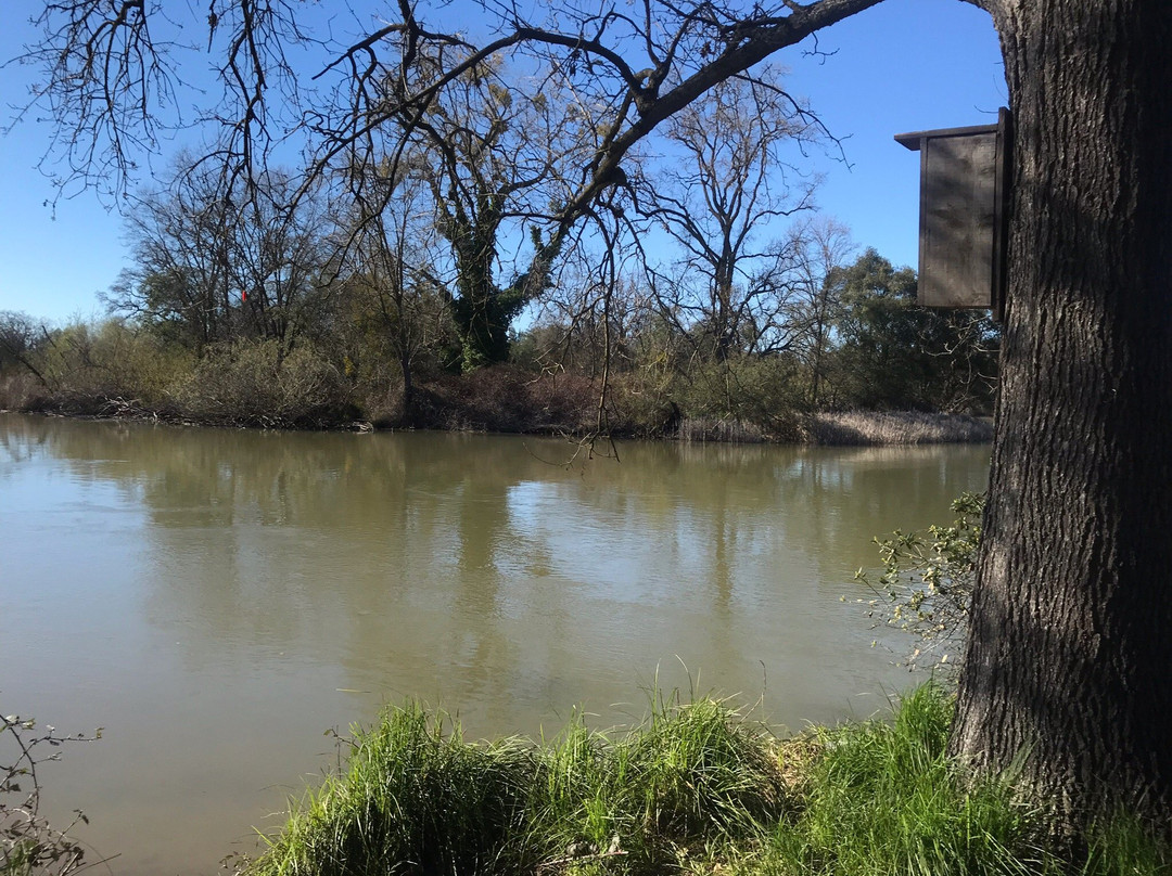 2024年9月Lodi Lake Park景点攻略-Lodi Lake Park门票预订|地址|图片-Lodi Lake Park景点点评-猫途鹰